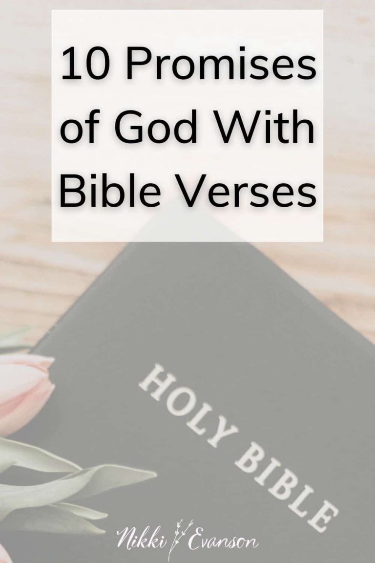 10 Promises of God With Bible Verses, For When You're Disappointed ...