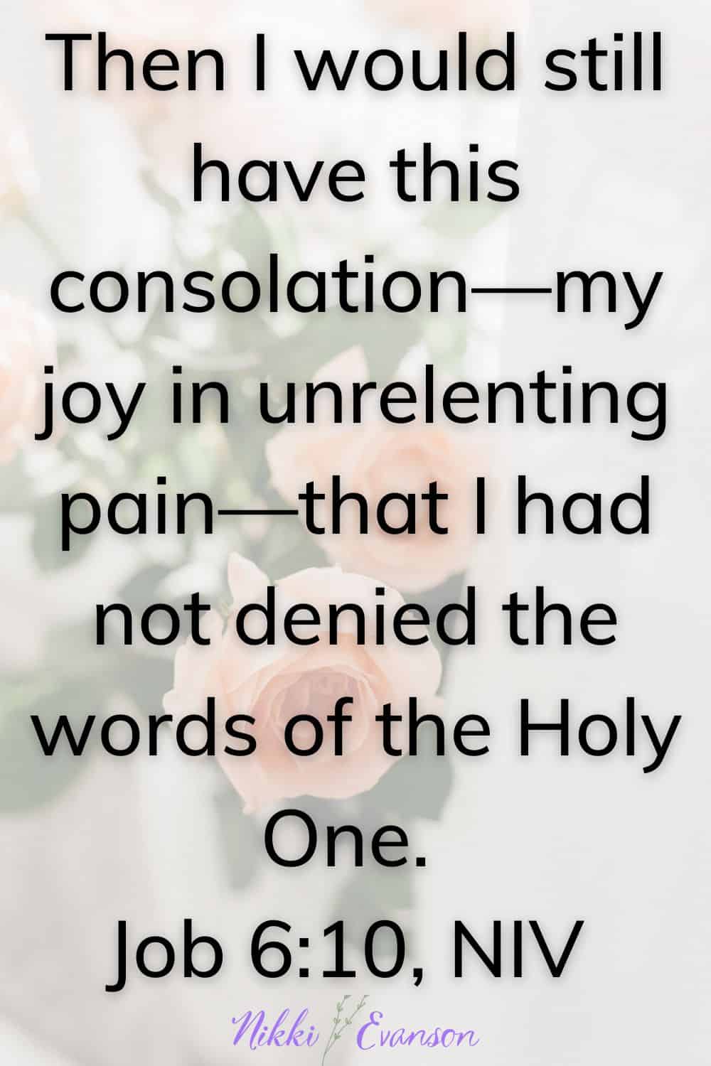 What Does the Bible Say About Joy? - Nikki Evanson