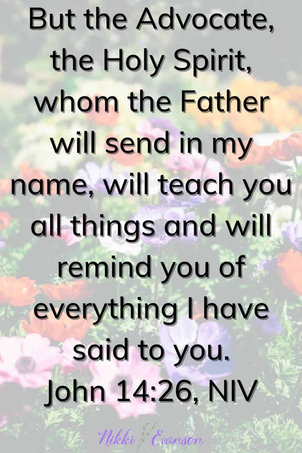 How to Use the Authority of Scripture Against the Enemy - Nikki Evanson