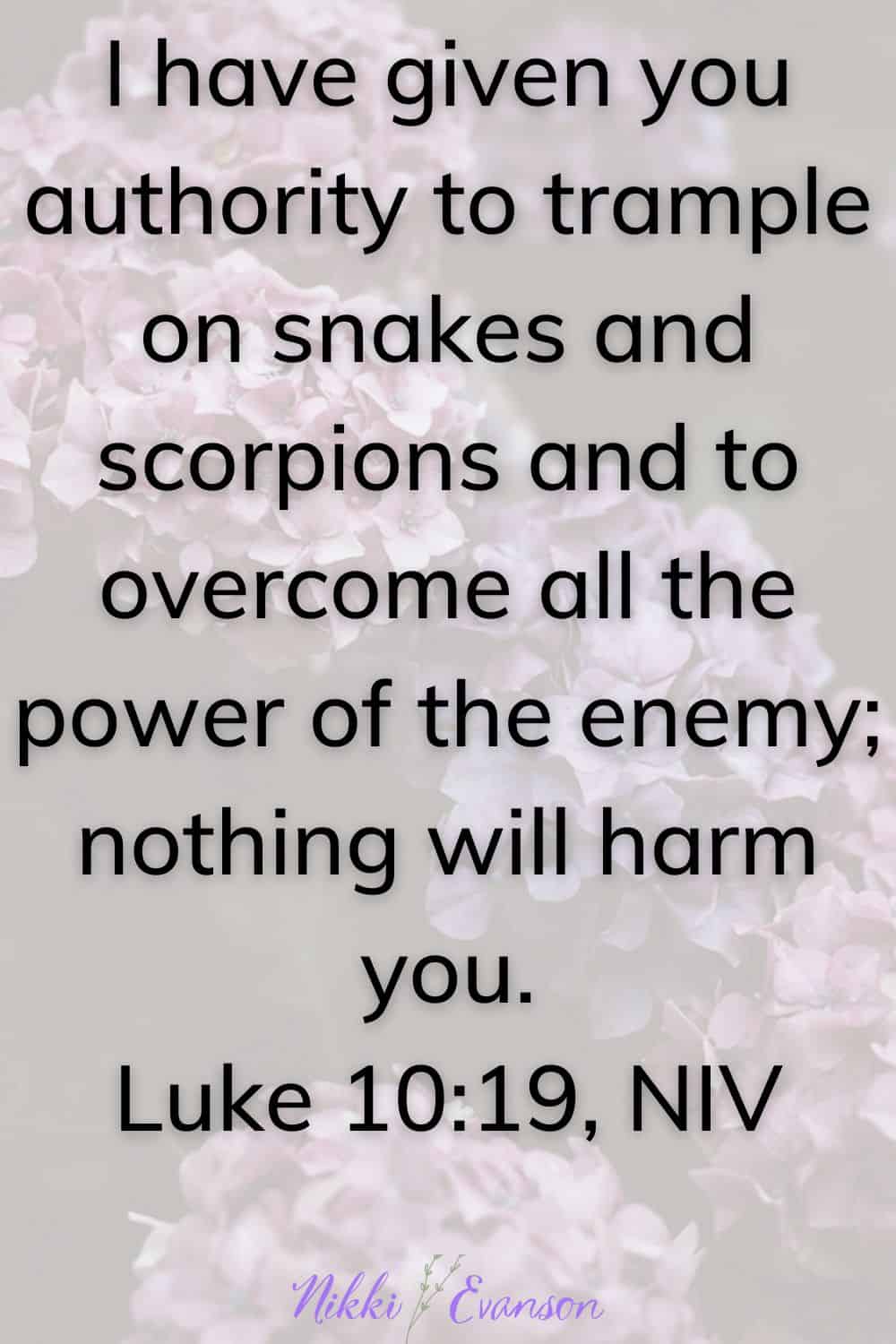 How to Use the Authority of Scripture Against the Enemy - Nikki Evanson