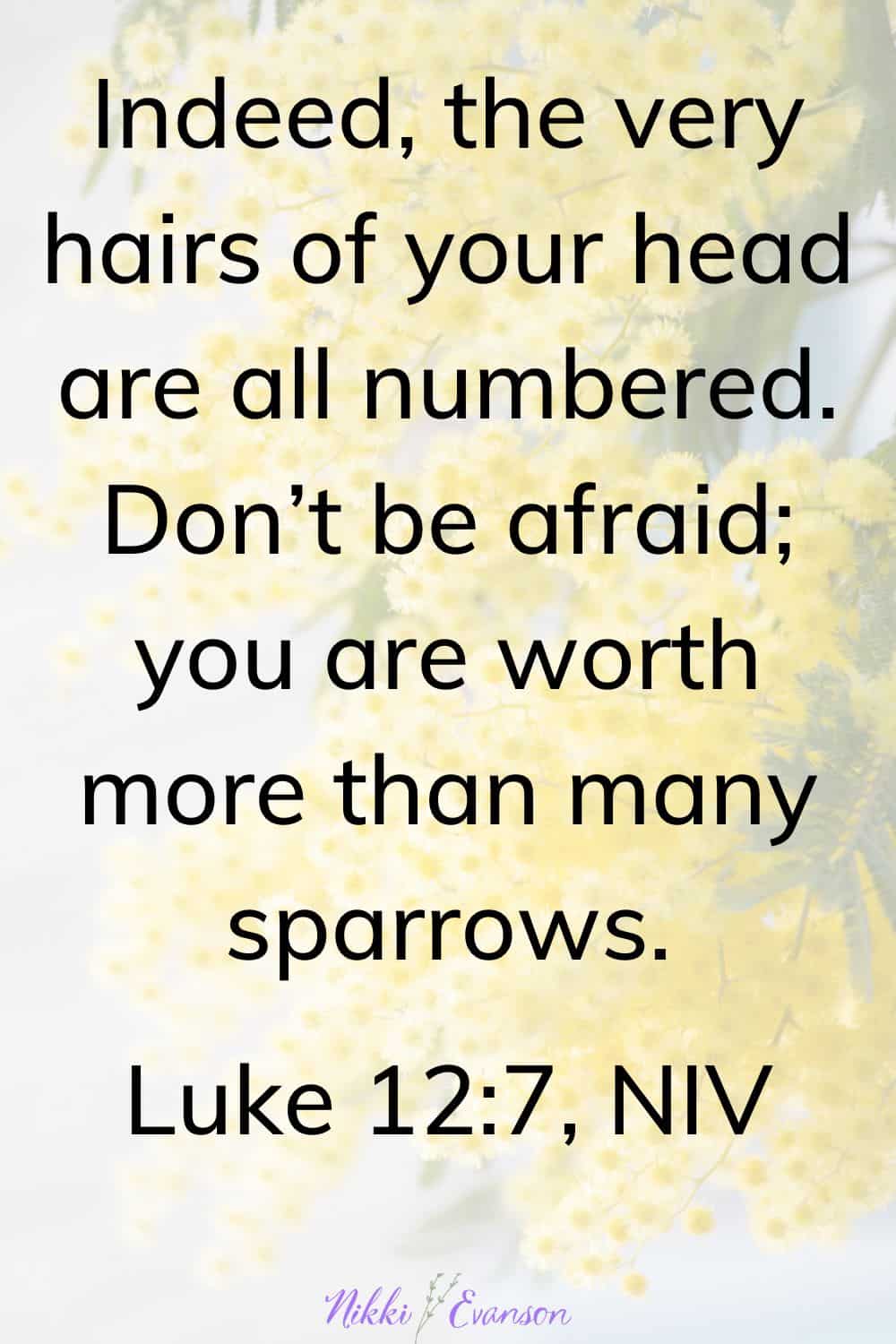 Verses About God's Love When You Doubt It - Nikki Evanson