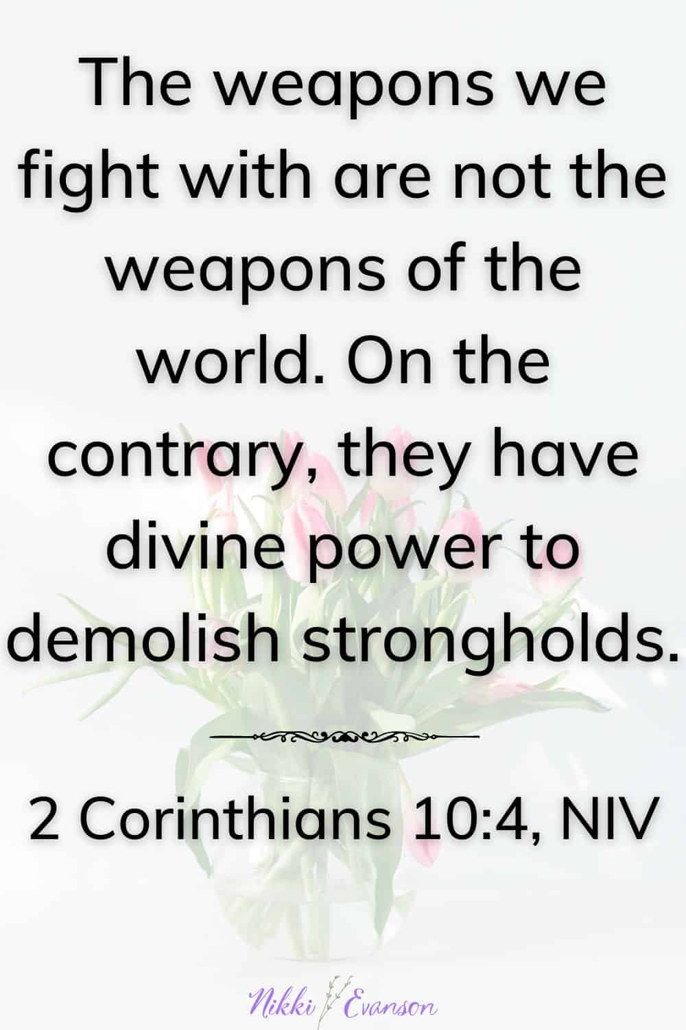 Winning the Battle in Your Mind: 7 Keys to Victory - Nikki Evanson